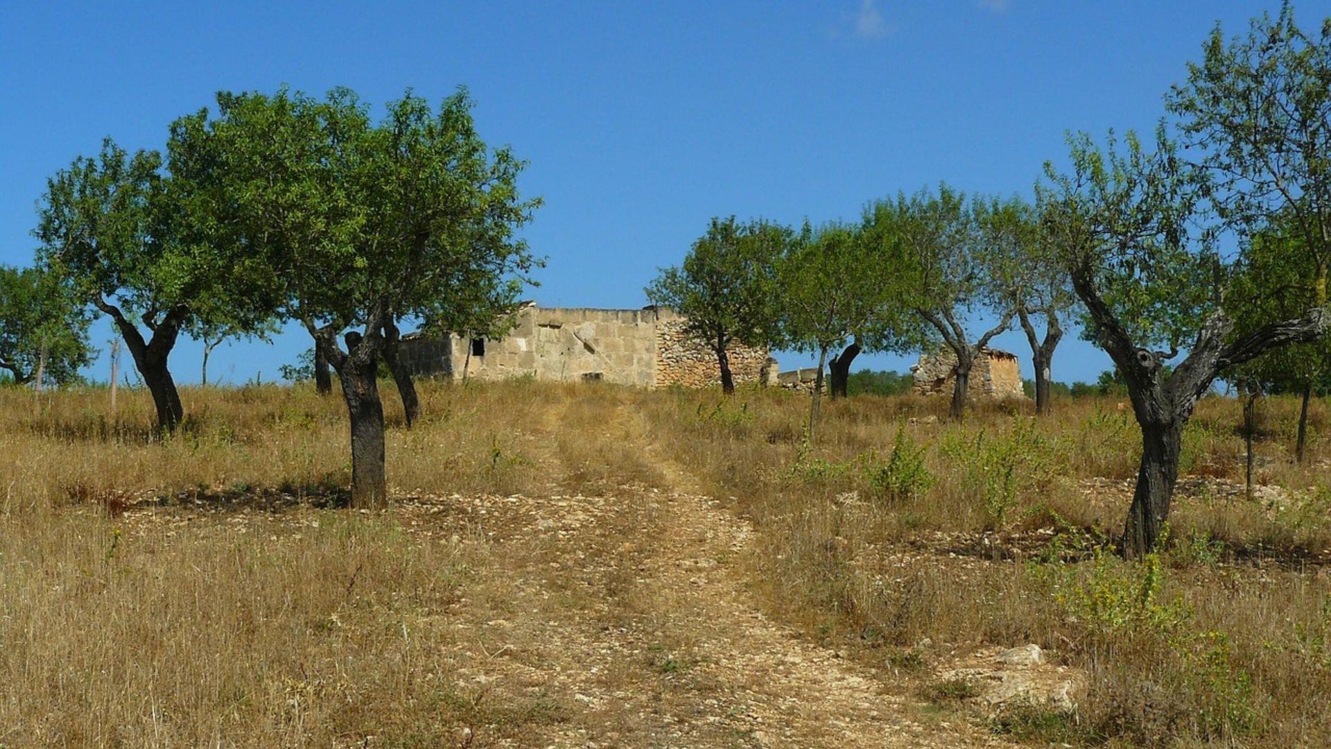 ¿Qué es el polígono y la parcela de una finca?